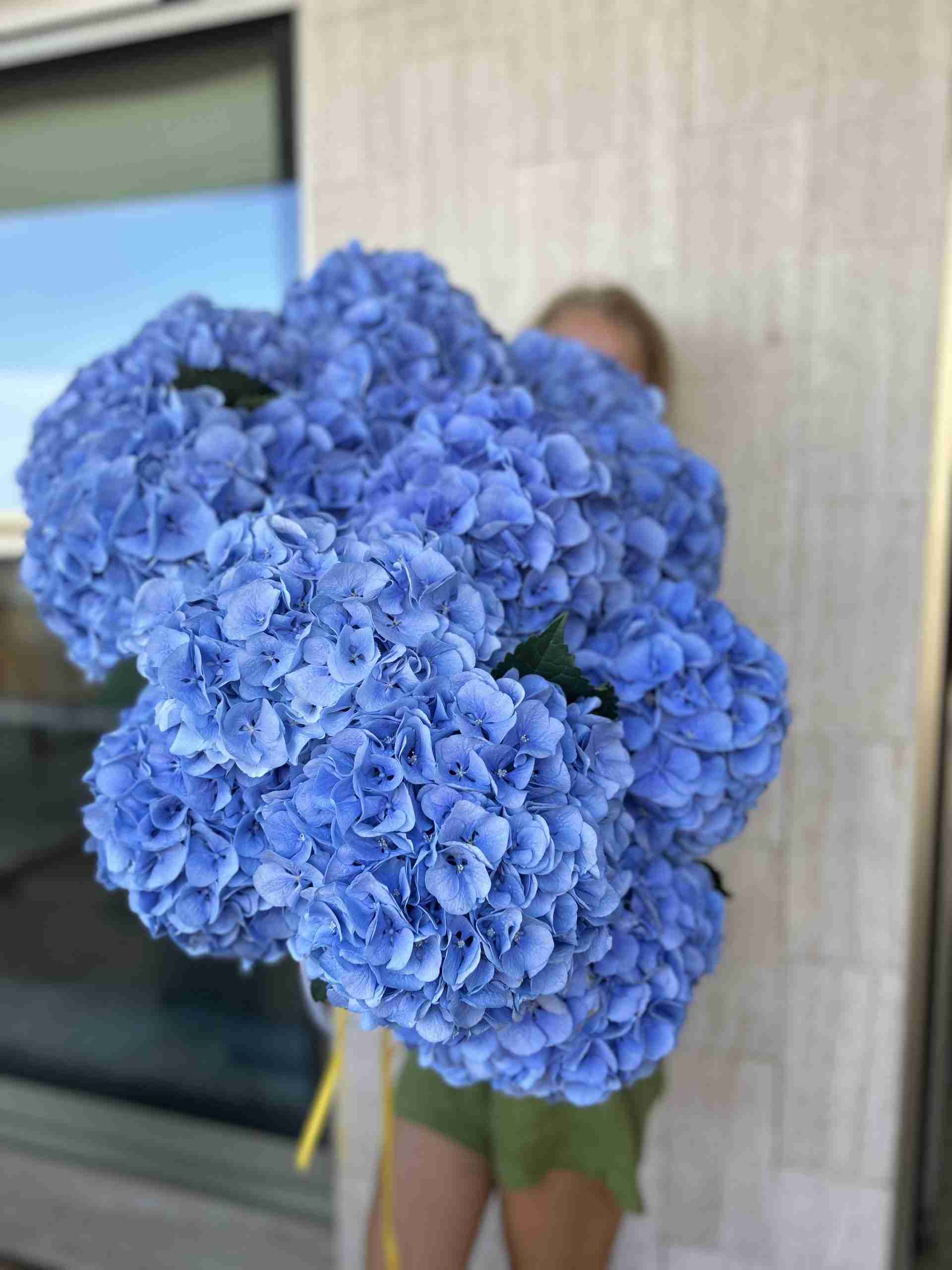 Bouquet Heavenly Hydrangeas - Fleurs de Monaco